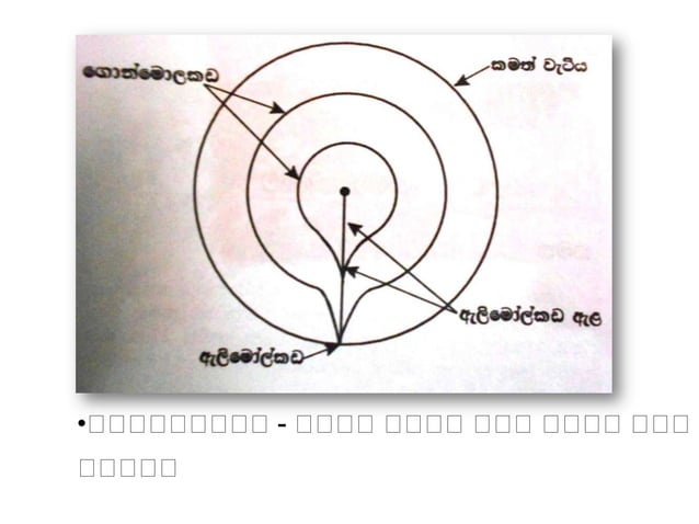 Kamath basa indigenous language of paddy culture in sri lanka | PPTX ...