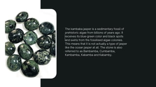 Is Kambaba Jasper Natural and Good For Any Zodiac? | PDF