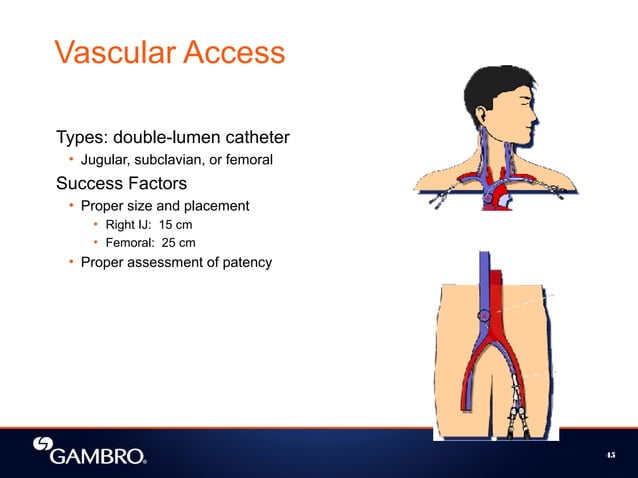 Kamc crrt training | PPT | Blood Disorders | Diseases and Conditions