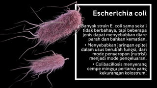 Analisis Penyebab Diare Kambing Perah (presentasi) | PDF