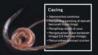 Analisis Penyebab Diare Kambing Perah (presentasi) | PDF
