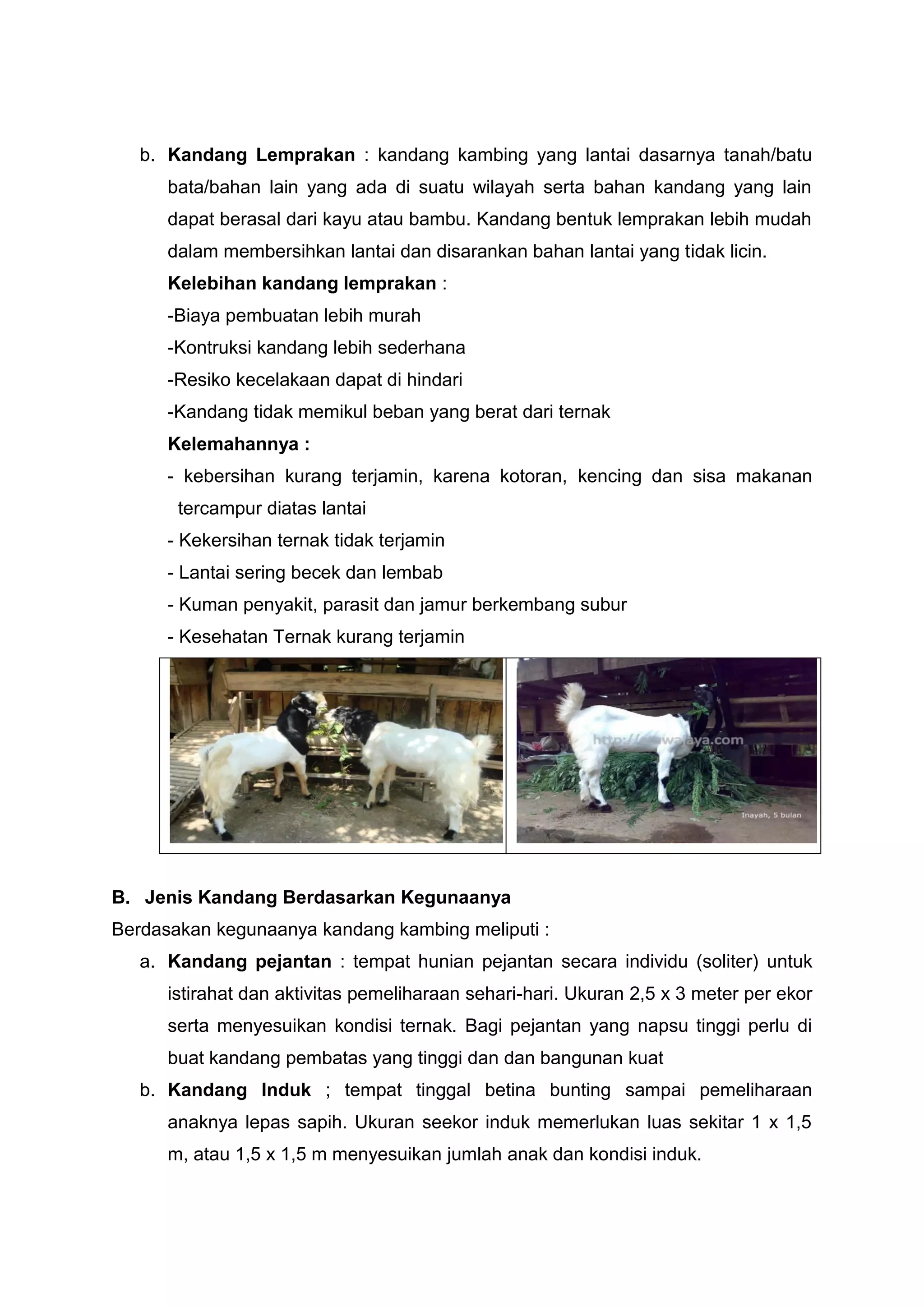 Kamdang kambing | PDF