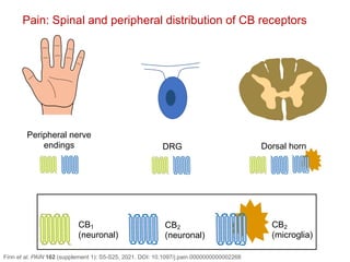 Cannabinoids and their effects on pain physiology | PDF