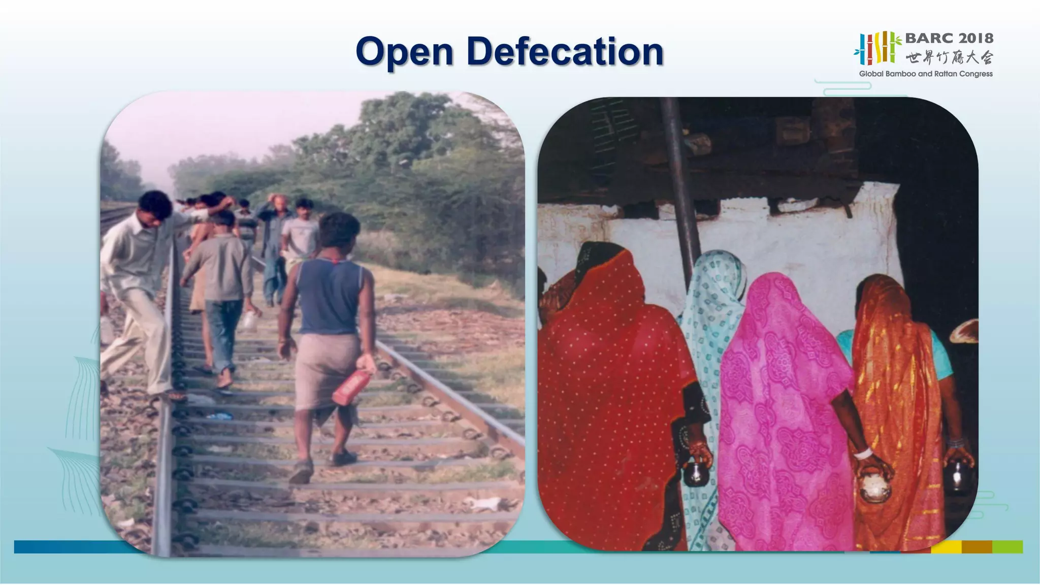 Kamesh SALAM_Role of bamboo in toilet design and BAMTECH APP | PDF