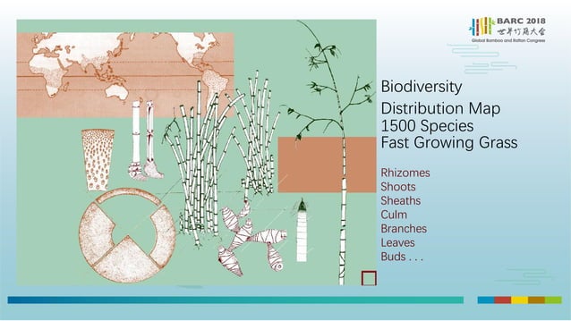 Kamesh SALAM_Role of bamboo in toilet design and BAMTECH APP | PDF ...