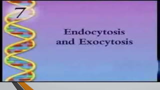 EKSOSITOSIS | PPTX
