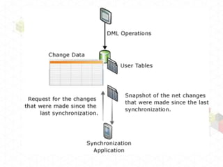 Change Tracking | PPSX | Databases | Computer Software and Applications