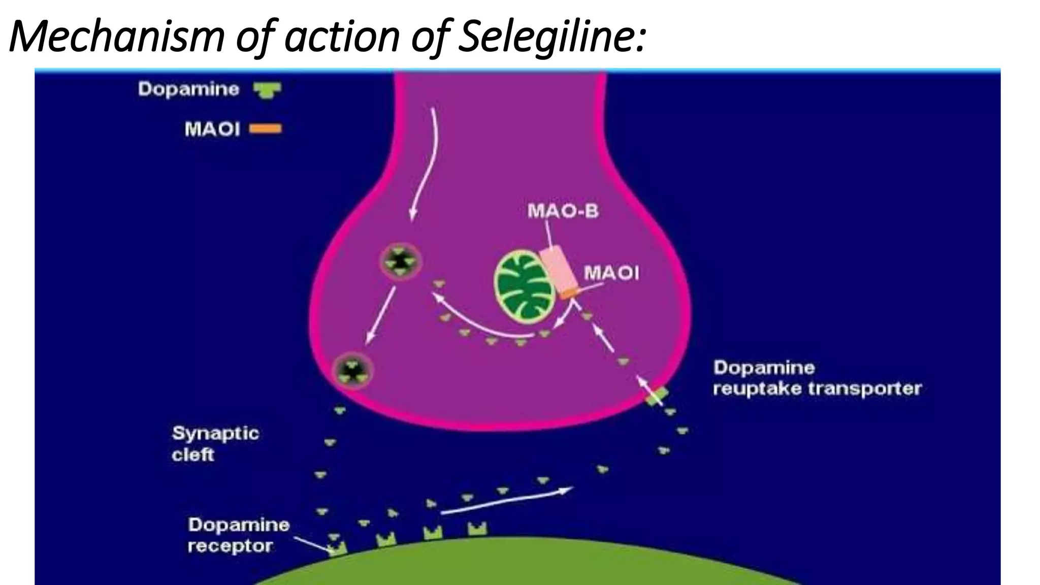Drugs used in the treatment of Parkinson’s Disease.pptx