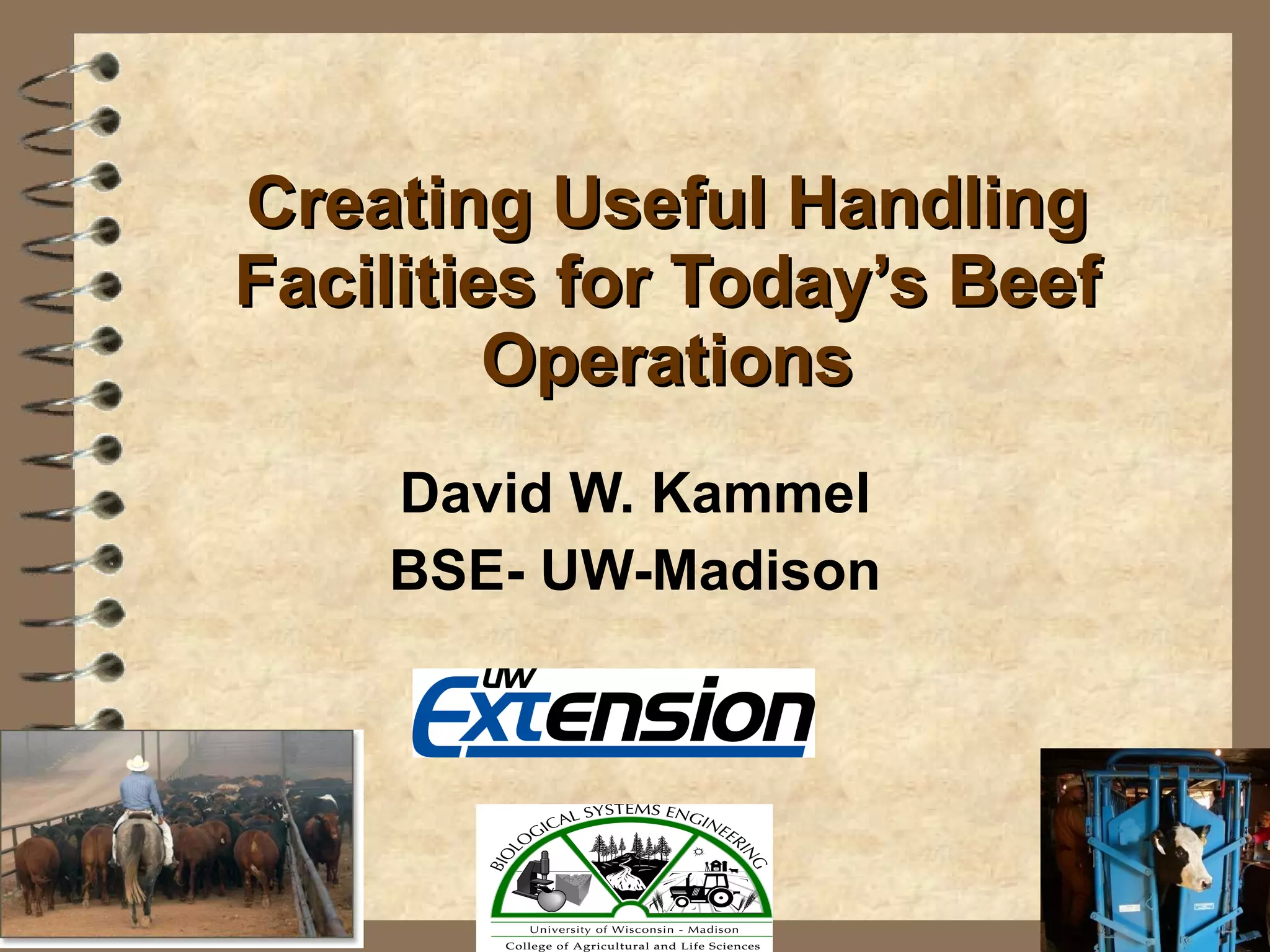Tips For Creating Beef Cattle Handling Facilities Ppt Free Download