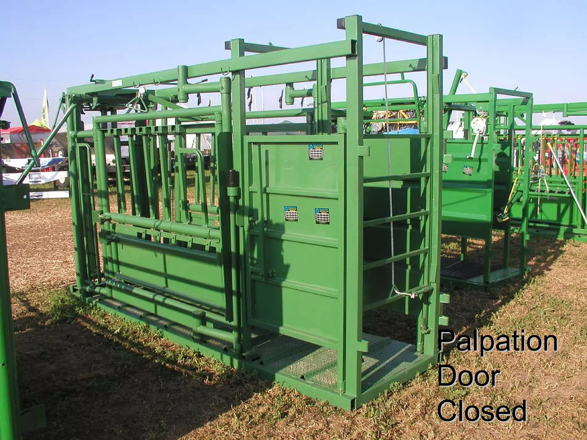Tips for Creating Beef Cattle Handling Facilities | PPT