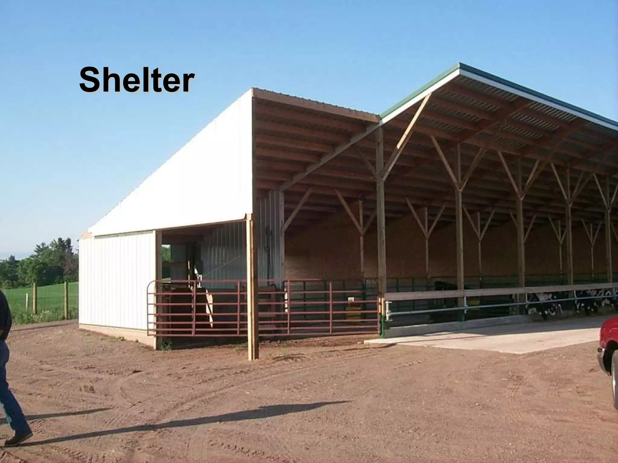 Tips for Creating Beef Cattle Handling Facilities | PPT