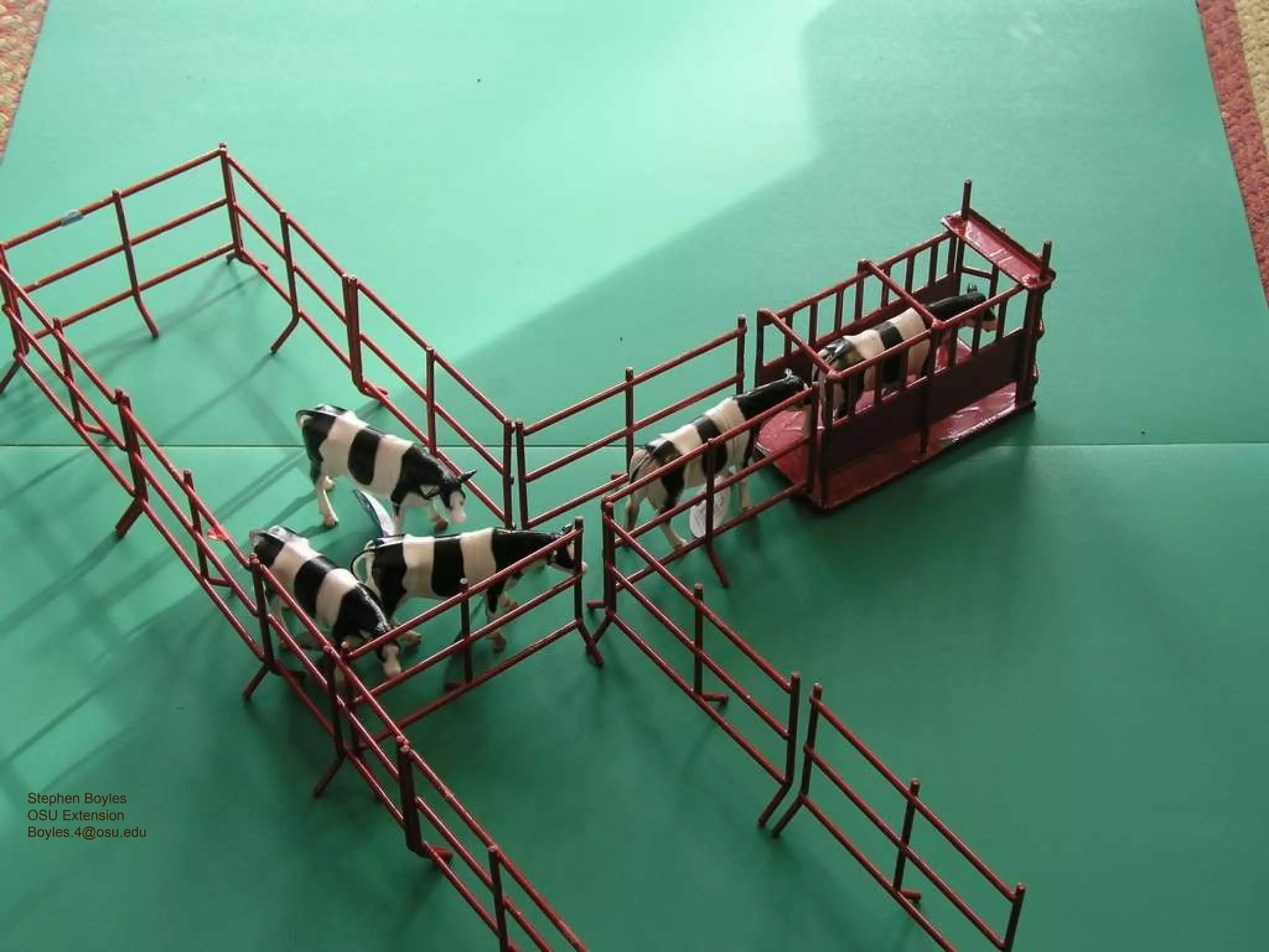Tips for Creating Beef Cattle Handling Facilities | PPT