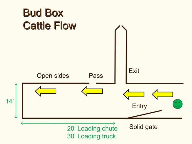 Tips for Creating Beef Cattle Handling Facilities | PPT