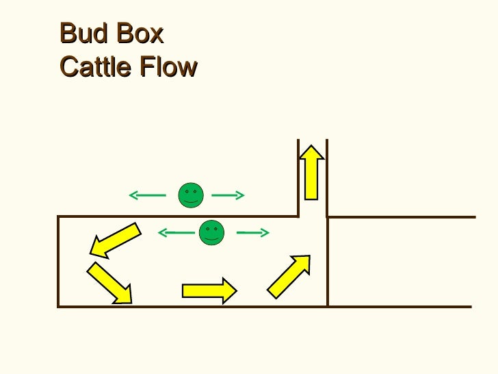 Tips for Creating Beef Cattle Handling Facilities