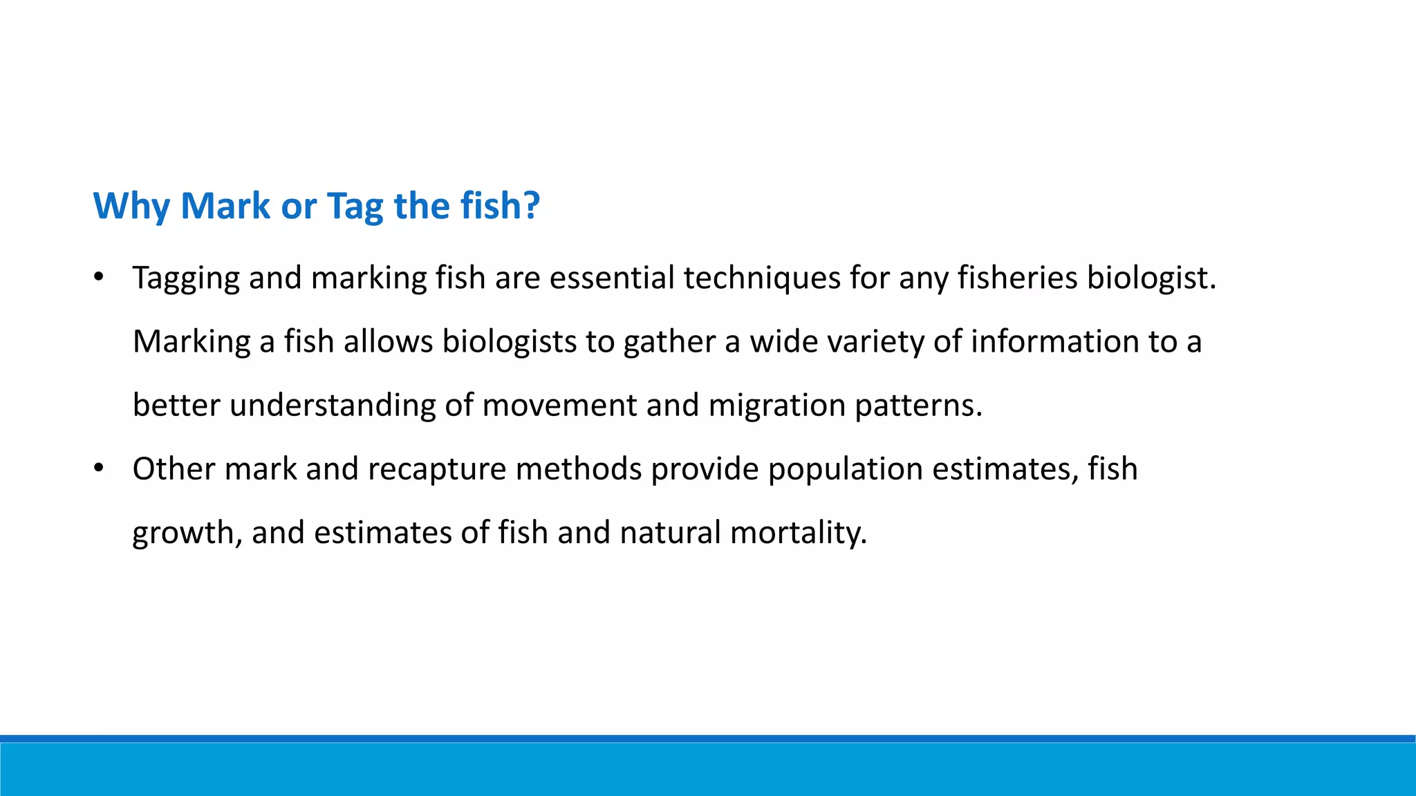 Fish Tagging methods | PPTX