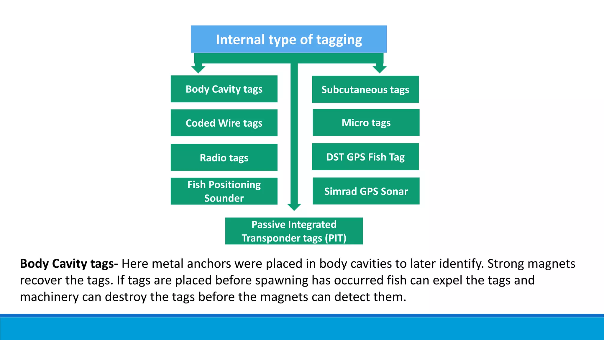 Fish Tagging methods | PPTX