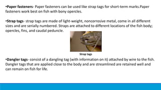 Fish Tagging methods | PPTX