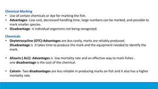 Fish Tagging methods | PPTX