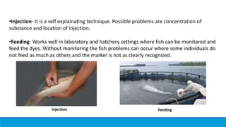 Fish Tagging methods | PPTX