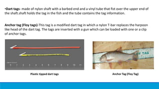 Fish Tagging methods | PPT