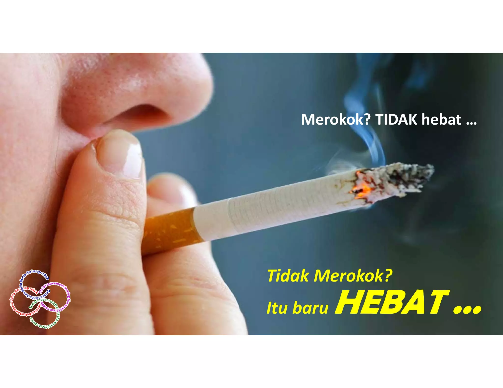 Kampanye Anti Merokok | PDF