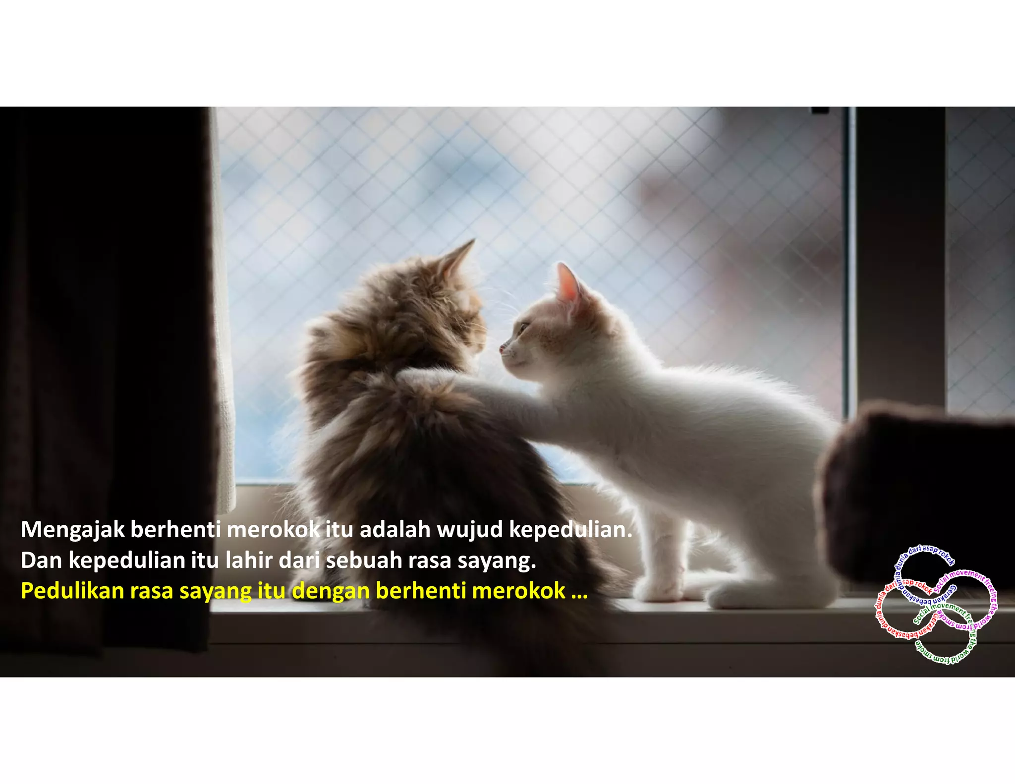 Kampanye Anti Merokok | PDF