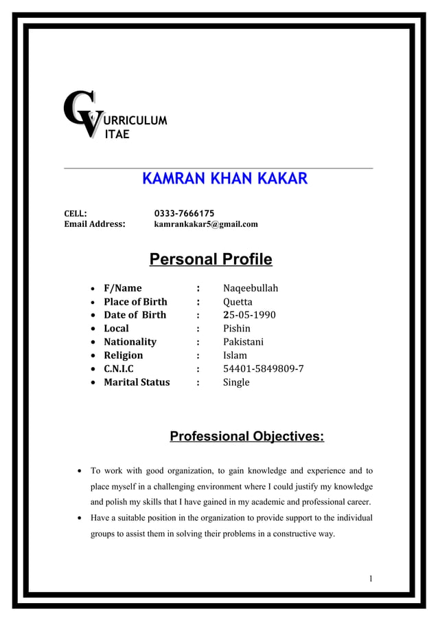 Kamran 1st cv | PDF