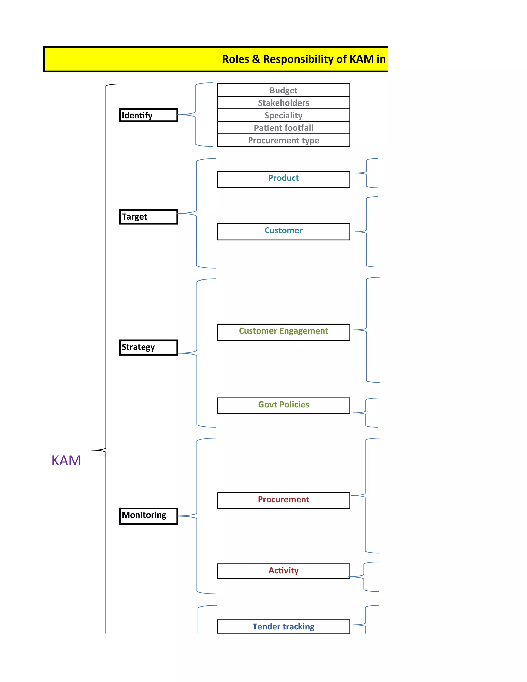 Kam roles & responsibilities pharma sector | PDF