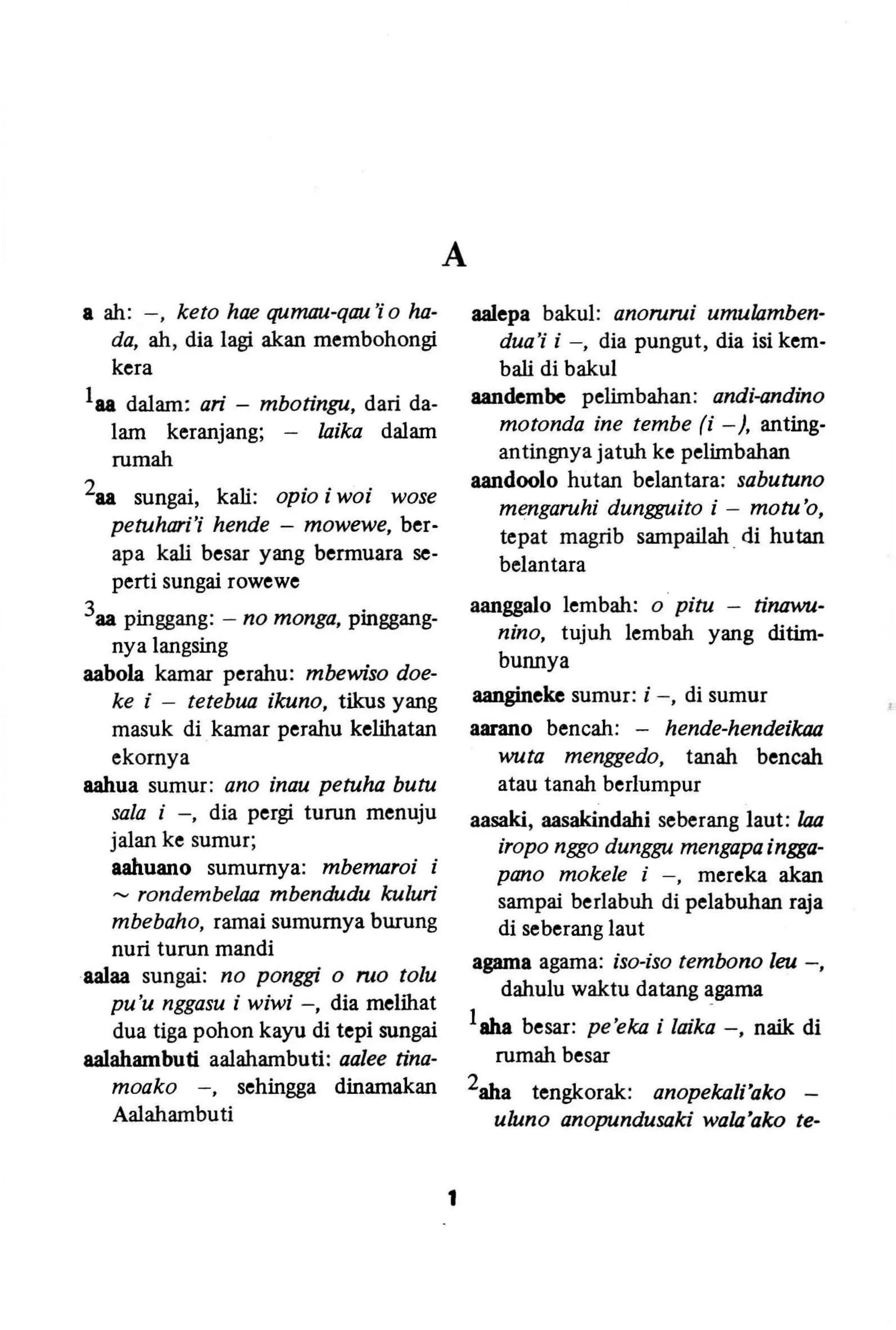 KAMUS bahasa TOLAKI Sulawesi Tenggara- INDONESIA.pdf