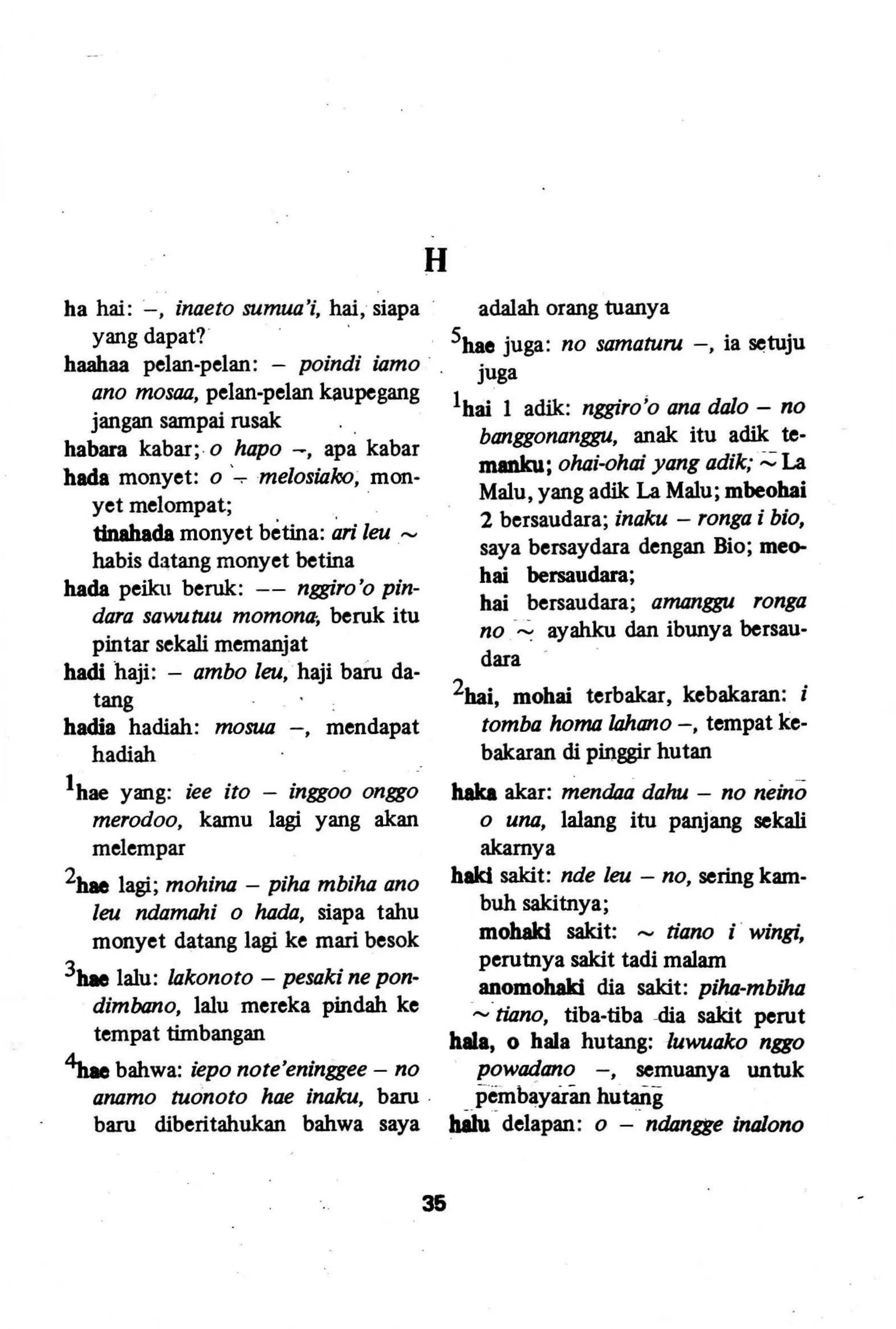 KAMUS bahasa TOLAKI Sulawesi Tenggara- INDONESIA.pdf