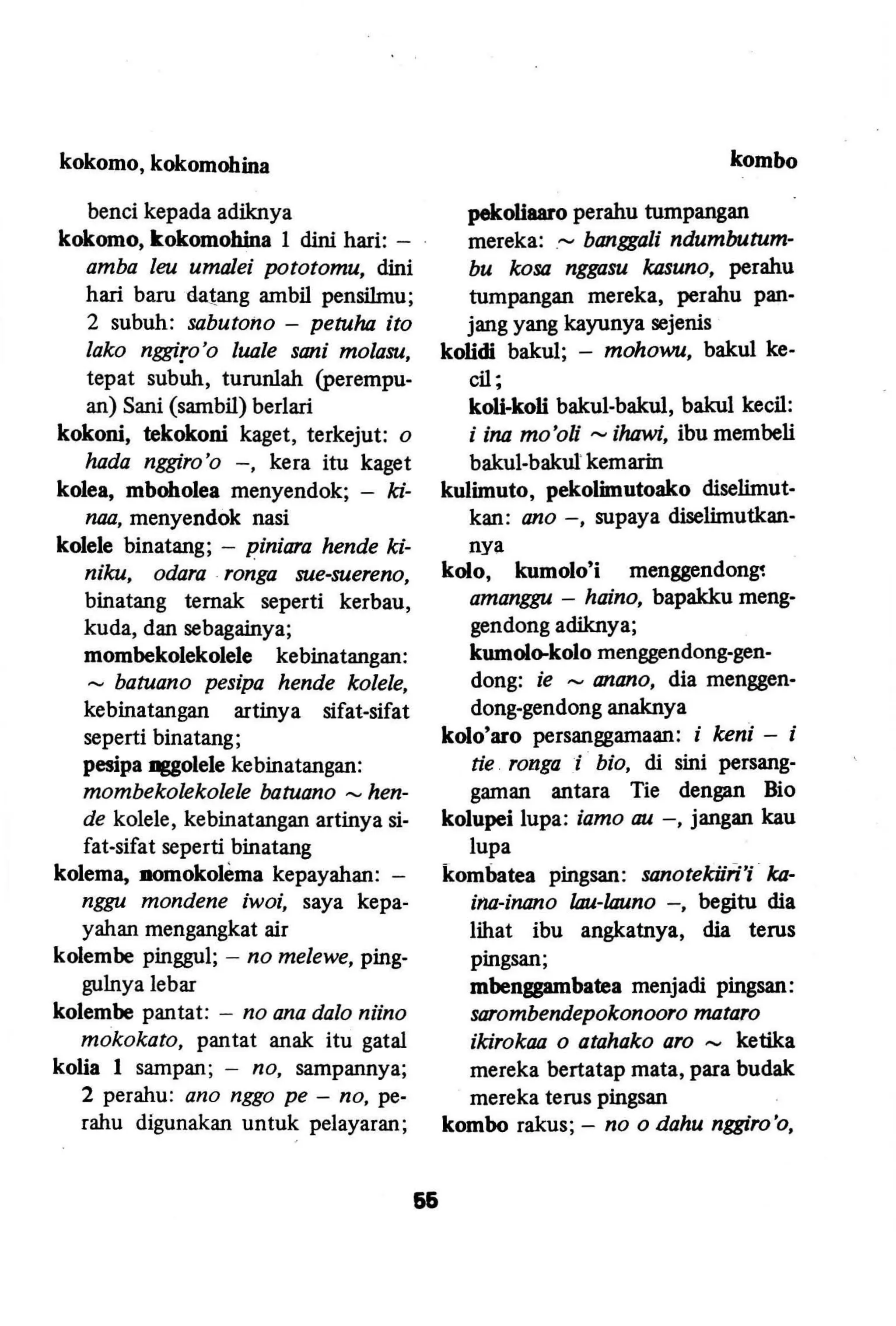 KAMUS bahasa TOLAKI Sulawesi Tenggara- INDONESIA.pdf