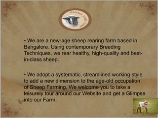 Kanaka sheep | PPTX