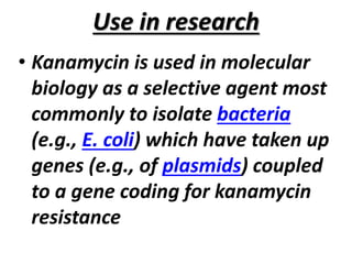 Kanamycin | PPTX
