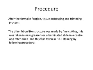 H & E STAIN | PPTX
