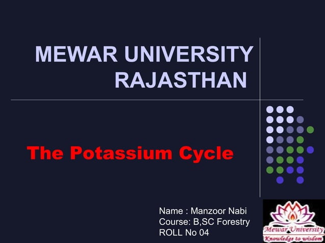 The Potassium Cycle | PPT