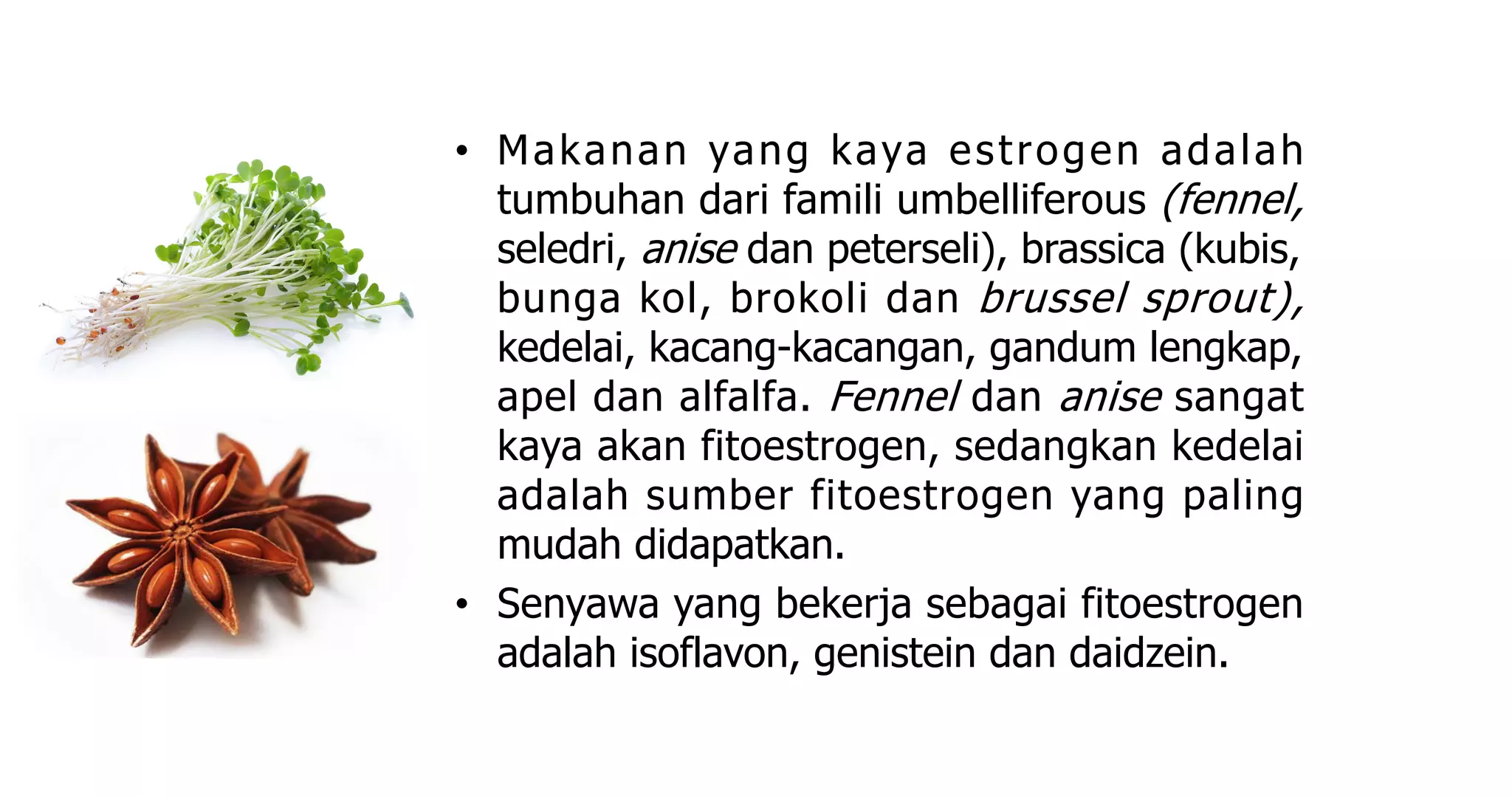 Kandungan bioaktif makanan fungsional | PDF