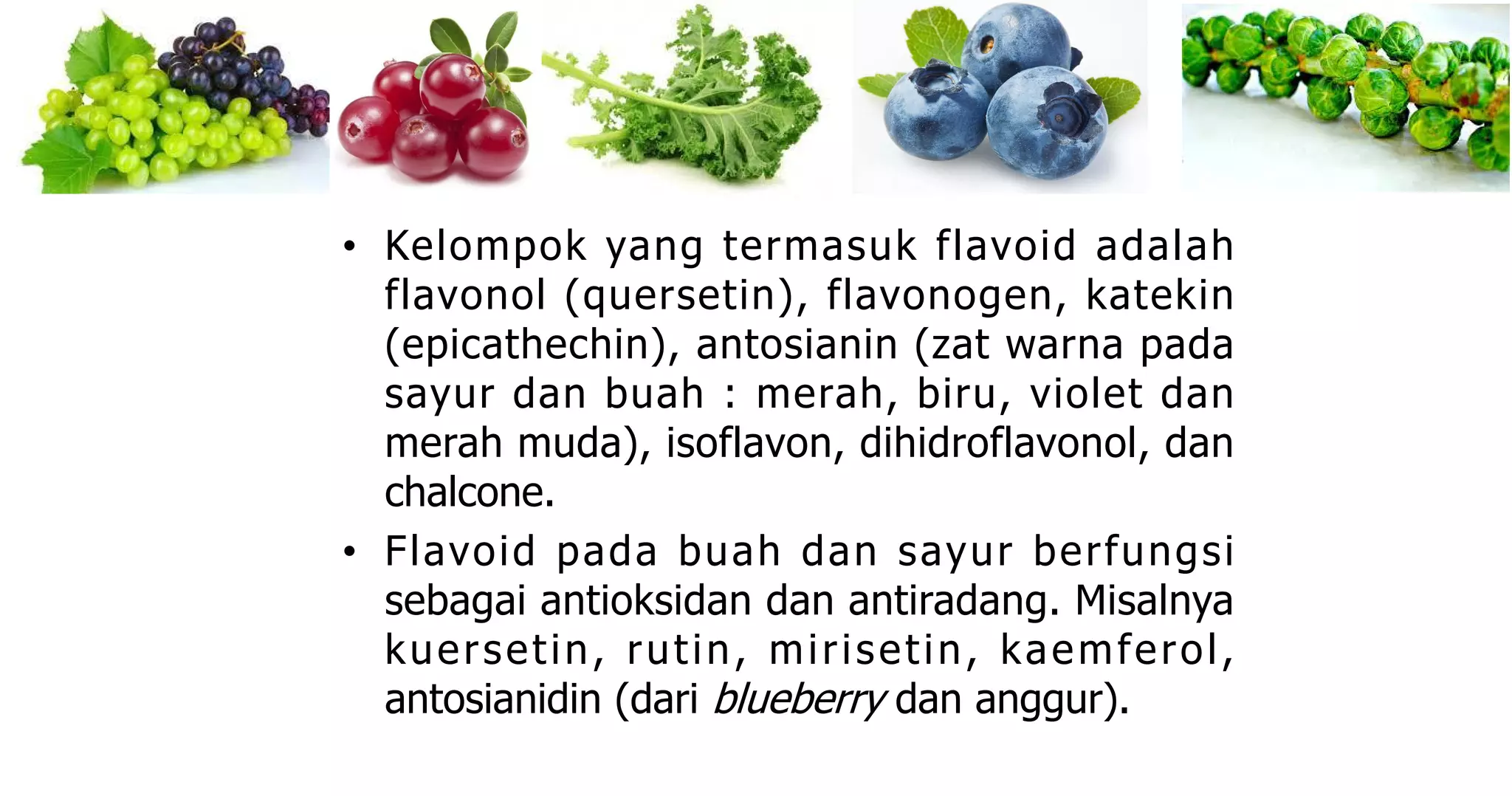 Kandungan bioaktif makanan fungsional | PDF