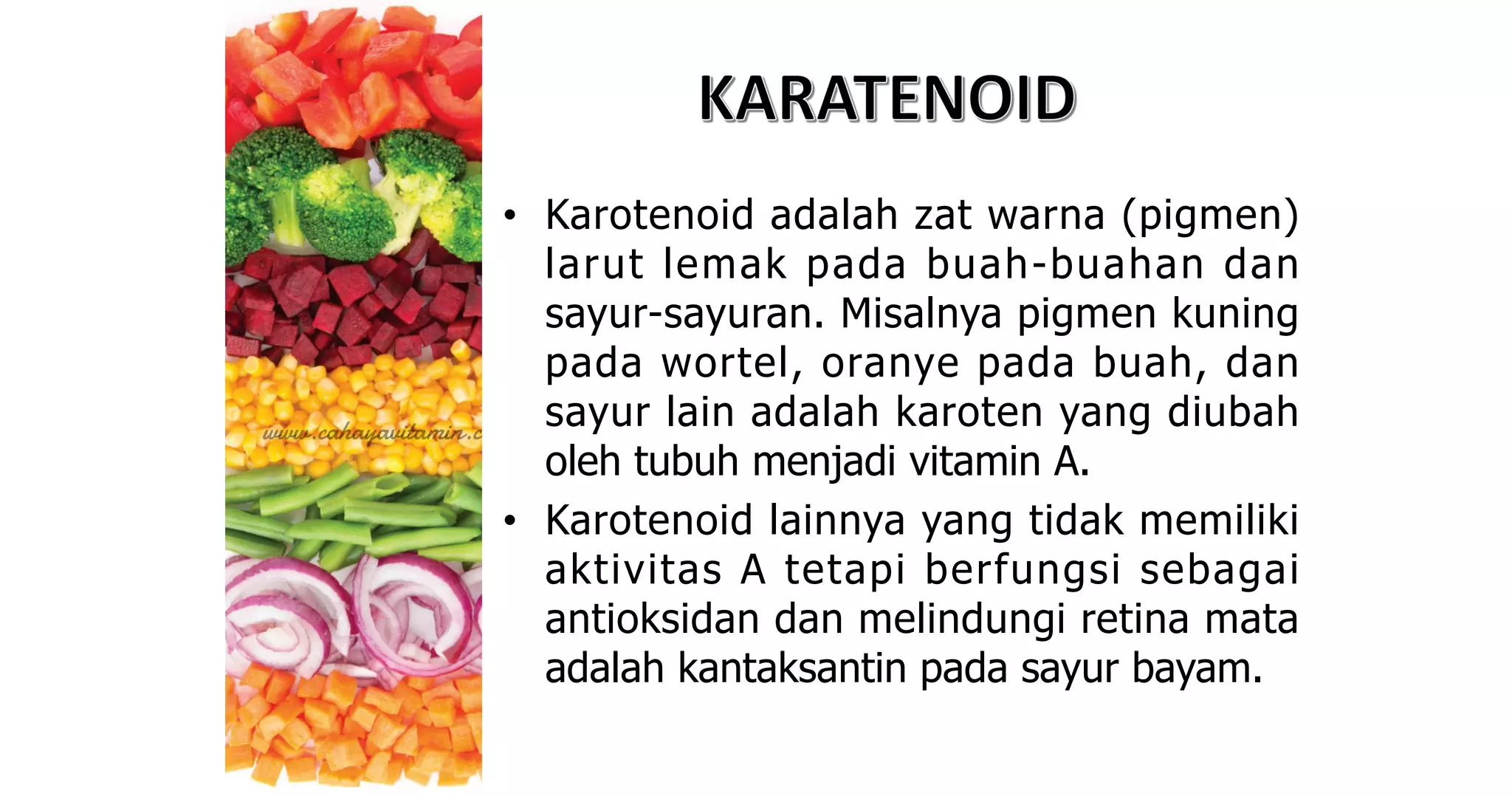 Kandungan bioaktif makanan fungsional | PDF