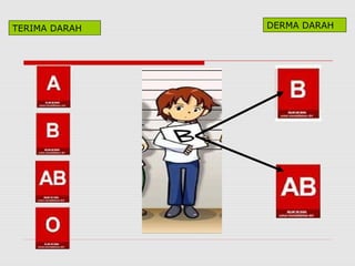 komposisi darah dan fungsinya | PPT
