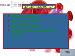 komposisi darah dan fungsinya | PPT