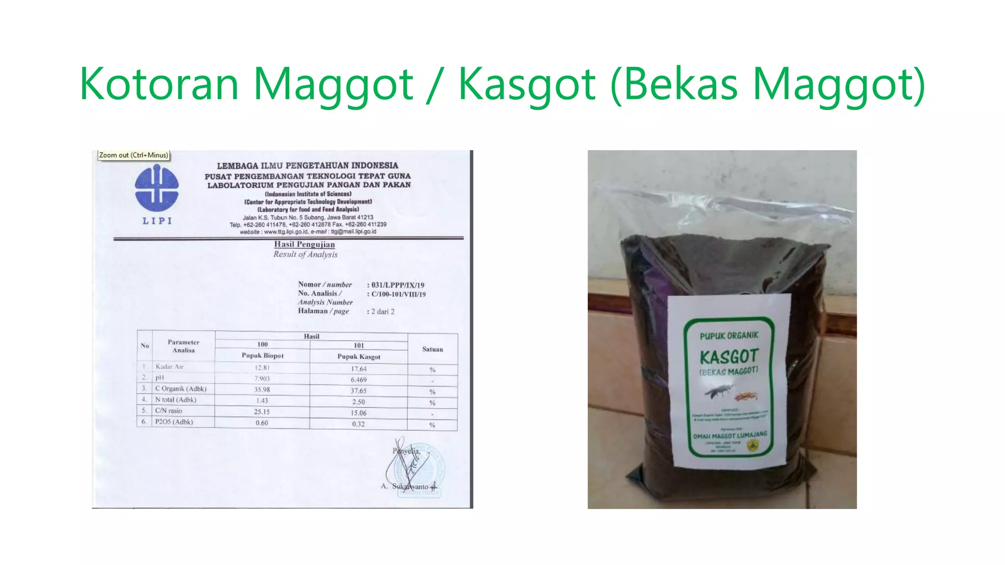 Kandungan Maggot dan produk Olahannya.pptx