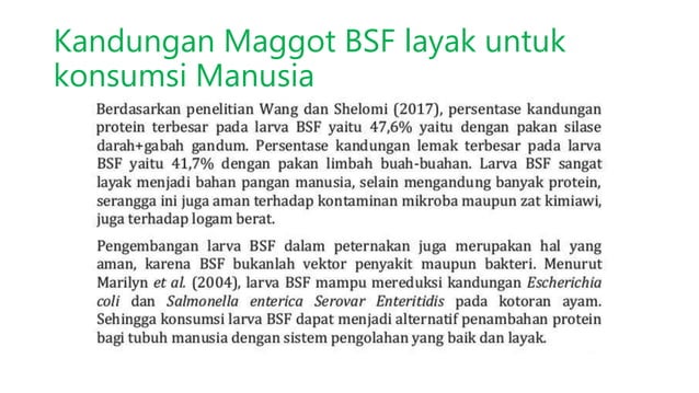 Kandungan Maggot dan produk Olahannya.pptx