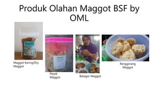 Kandungan Maggot dan produk Olahannya.pptx