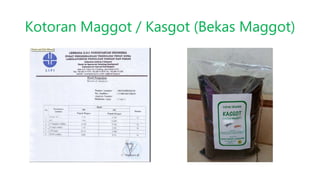 Kandungan Maggot dan produk Olahannya.pptx