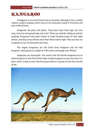 REPORT TEXT EXAMPLE: Kangaroo | DOCX | Large Animals | Pets