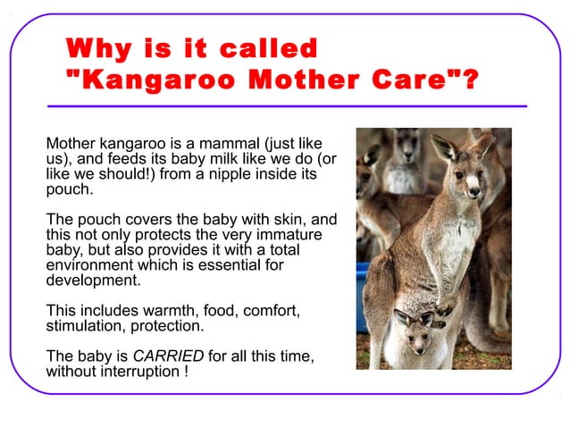 Kangaroo method | PPT