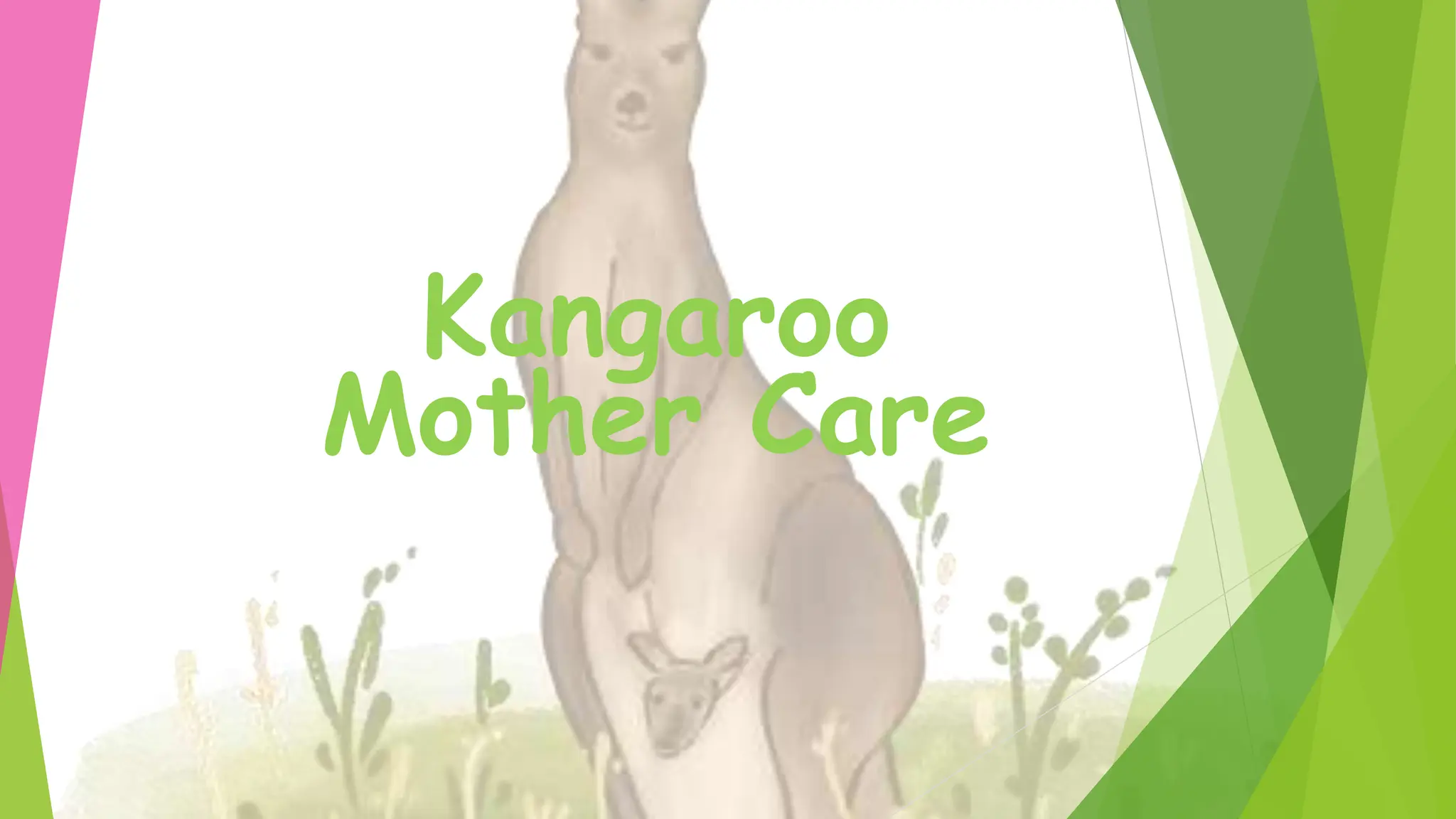 KANGAROO MOTHER CARE ppt for nursing students | PPTX