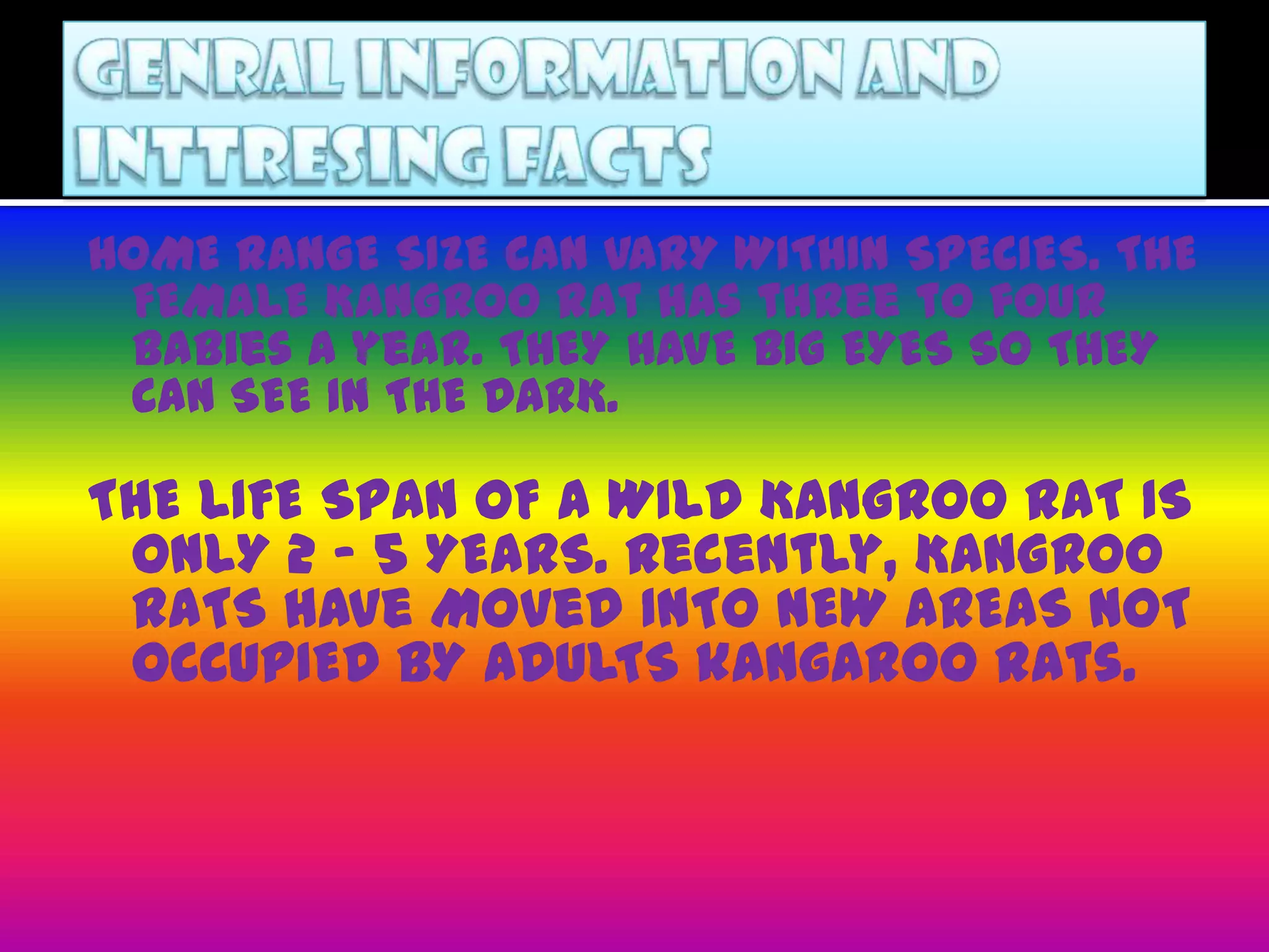 Kangaroo mouse leslie2 | PPT