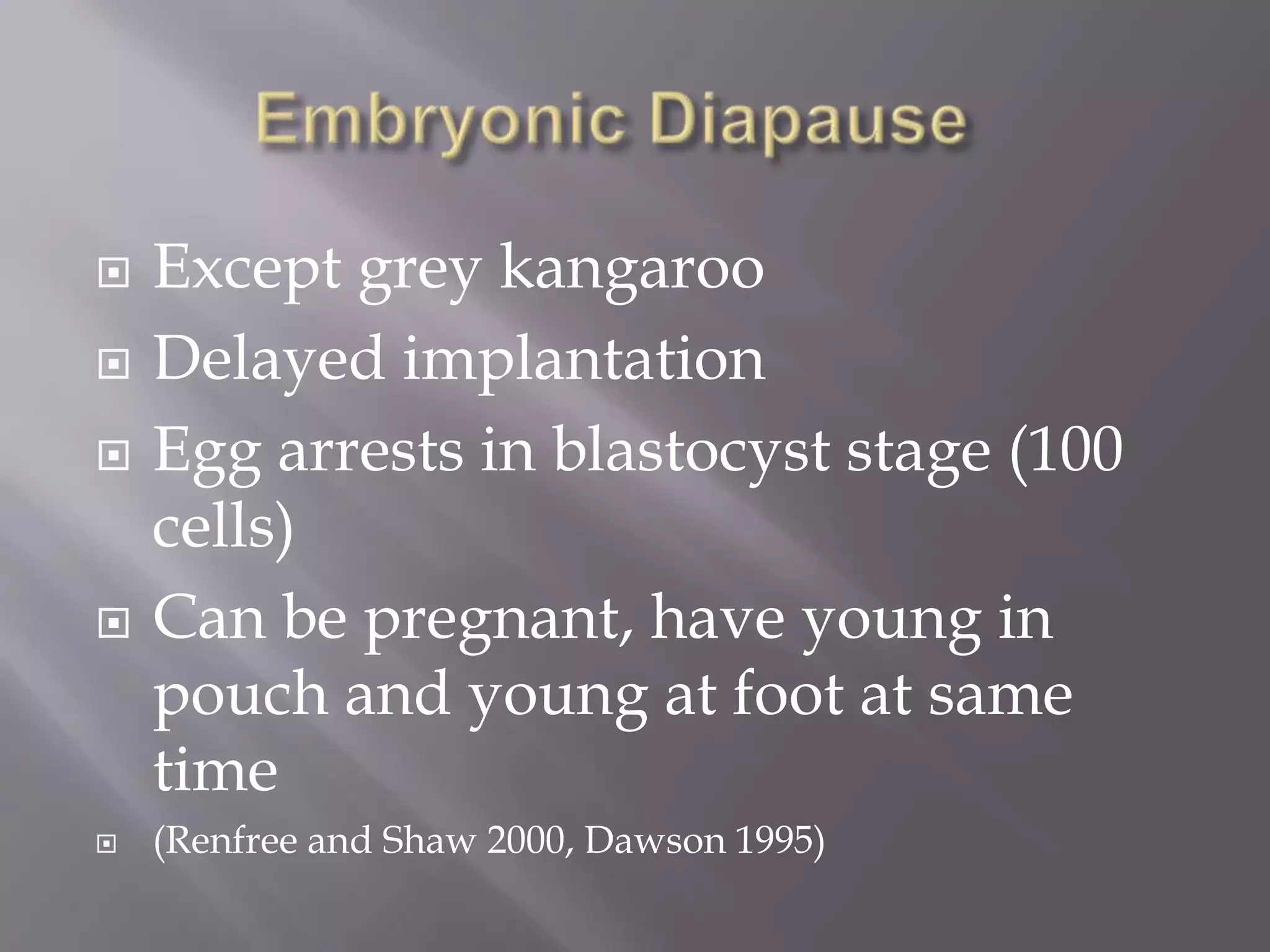 Kangaroo Reproduction | PPTX