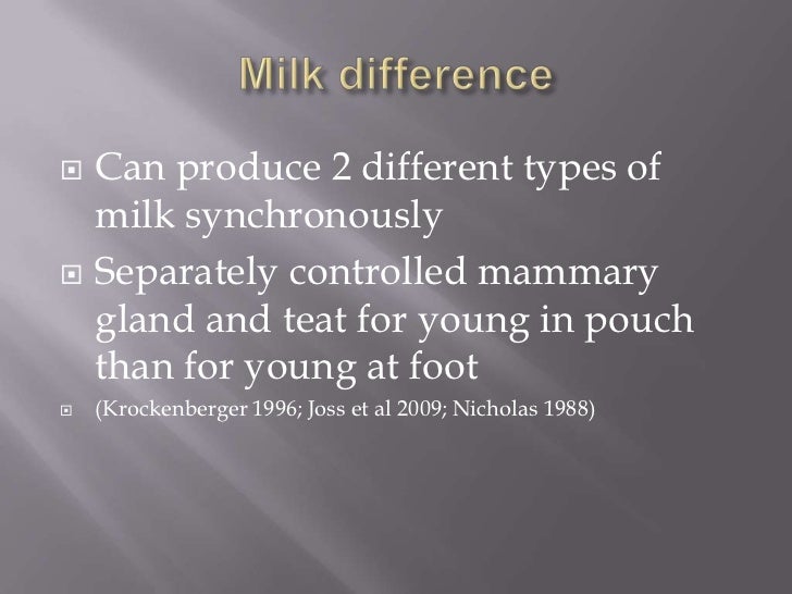 Kangaroo Reproduction